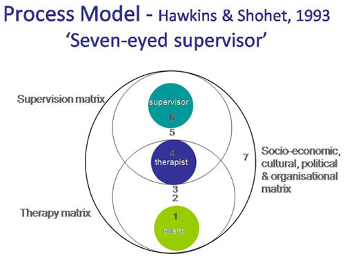 Supervision - Conatus